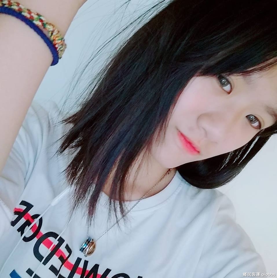 ZP車 - 低调巴士 | 鄉民客運 oiobbs